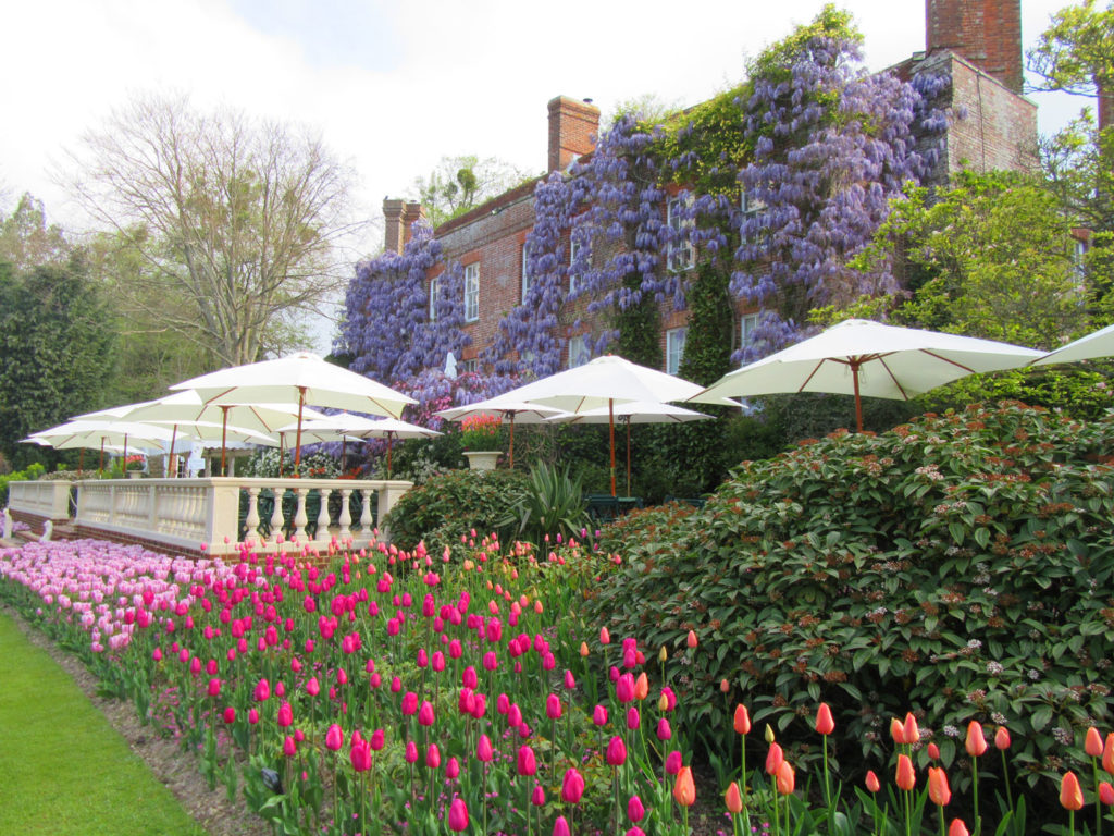 PASHLEY-MANOR-GARDENS-Tulips,-wisteria-and-new-balustrading-by-Kate ...