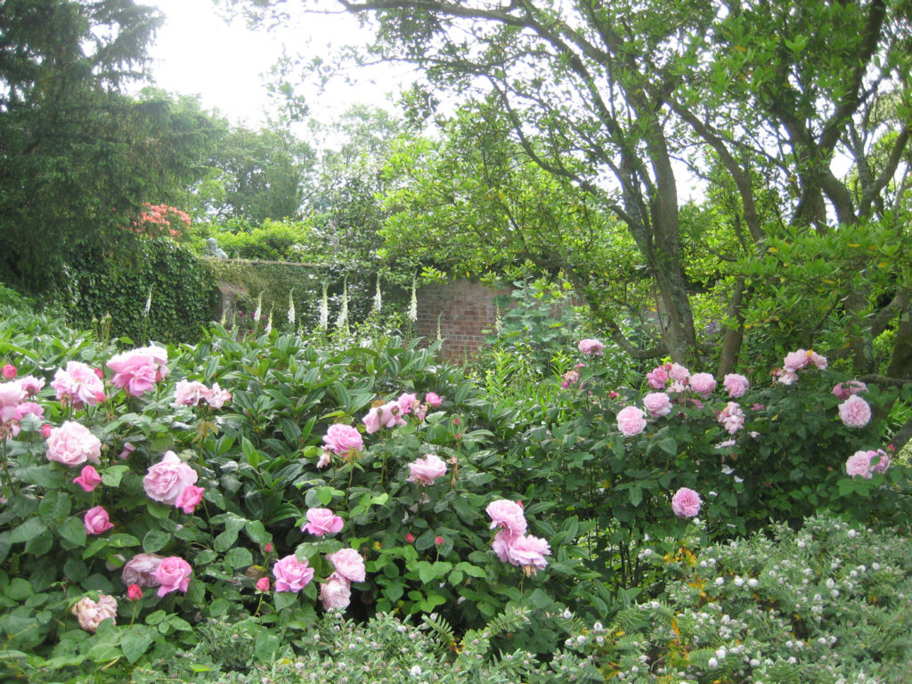 PASHLEY-MANOR-GARDENS-by-Stellata-Bed-by-Kate-Wilson - Pashley Manor ...