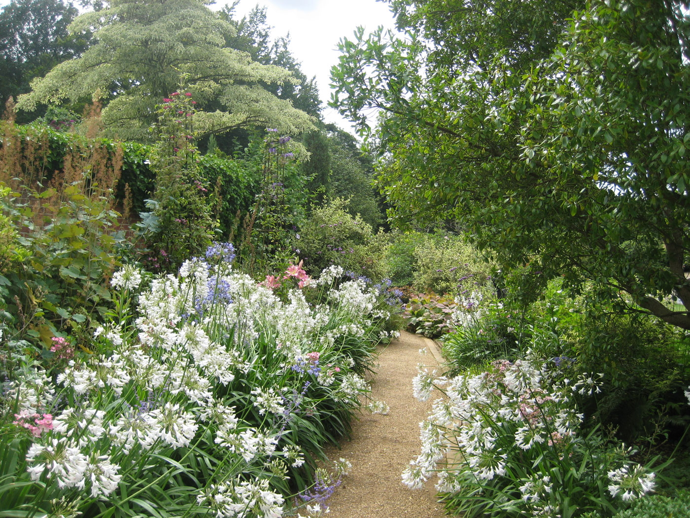 PASHLEY-MANOR-GARDENS-early-August-borders-by-Kate-Wilson - Pashley ...