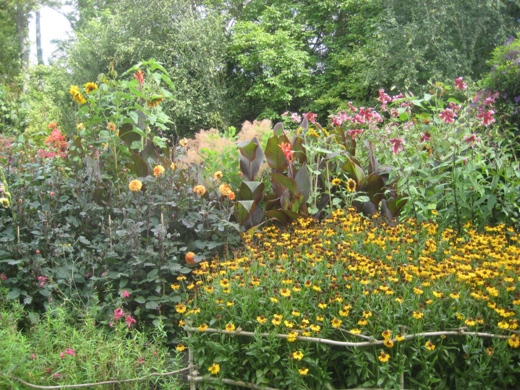 PASHLEY-MANOR-GARDENS-early-Autumn-borders-by-Kate-Wilson - Pashley ...